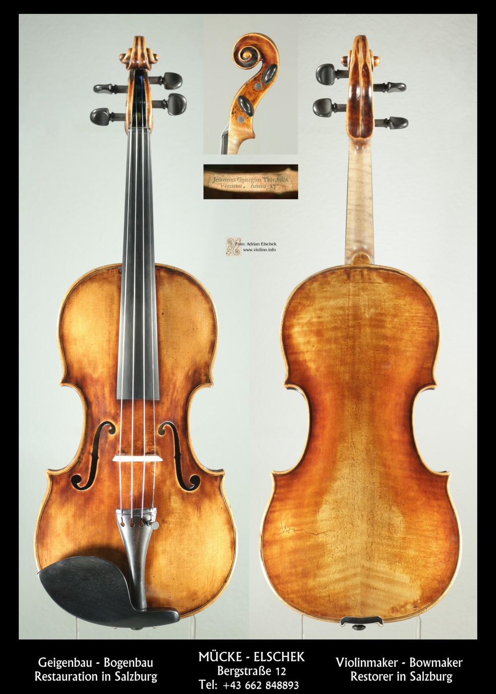Strumenti ad arco - Violini, Viole, Violoncelli